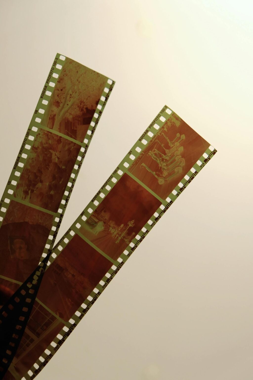 Types and Applications of Gelatin: A Comprehensive Guide